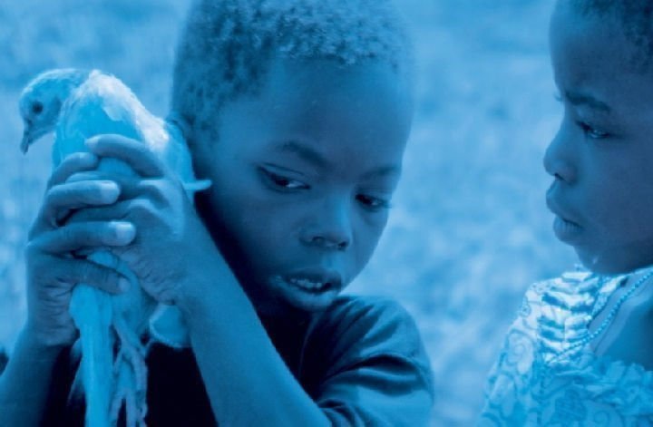 Blue Bird | Poster | Bild 6 von 6 | Film | critic.de