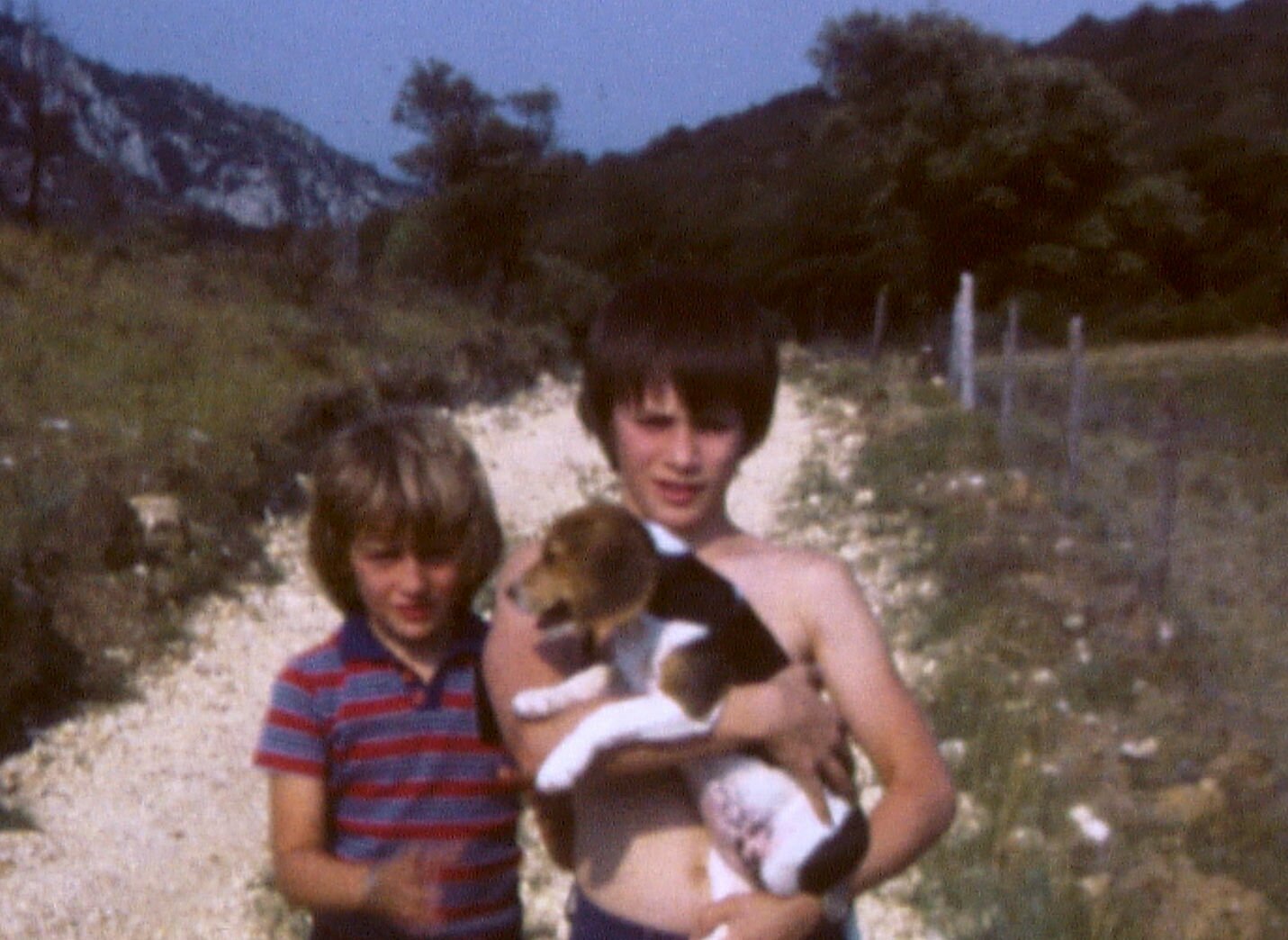 Annie Ernaux - Die Super-8 Jahre | Szenenbilder und Poster | Film ...