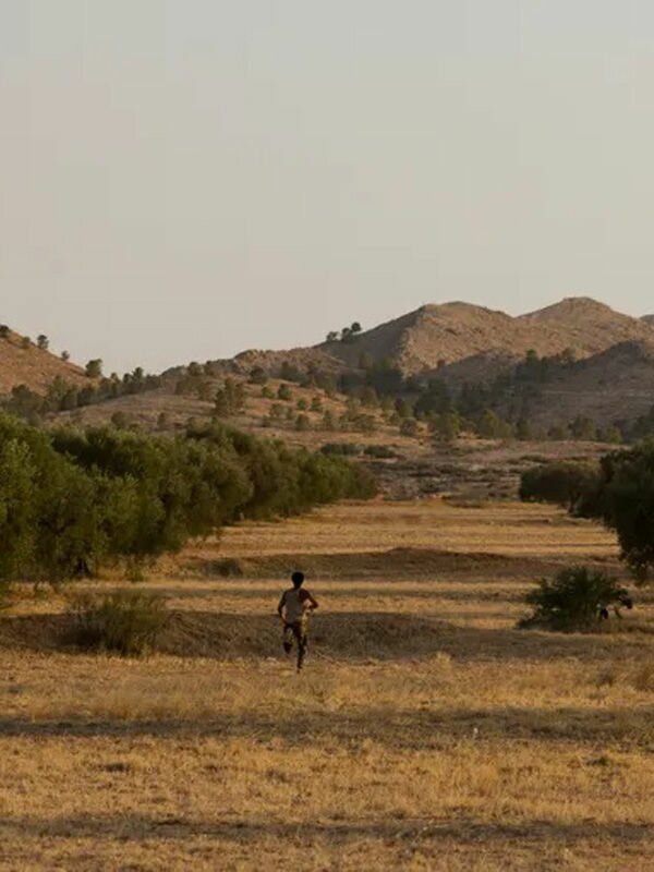 Harka | Trailer OmeU | Film | critic.de