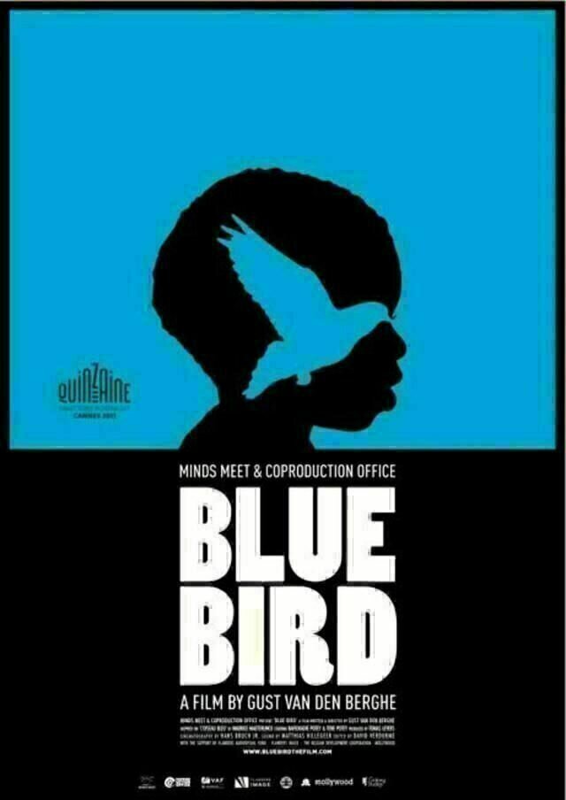 Blue Bird | Poster | Bild 6 von 6 | Film | critic.de