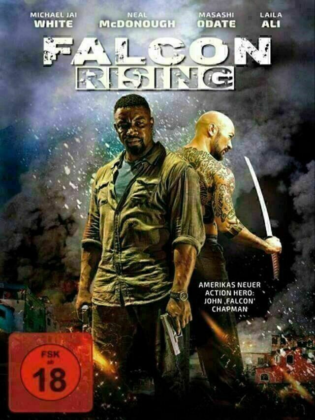 Falcon Rising | Szenenbilder und Poster | Film | critic.de