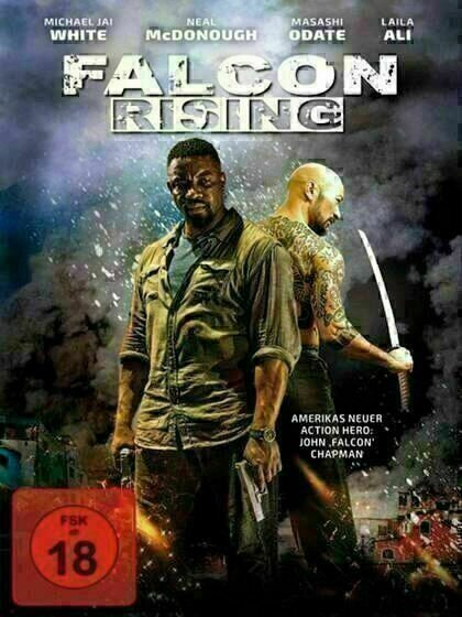 Falcon Rising | Szenenbilder und Poster | Film | critic.de